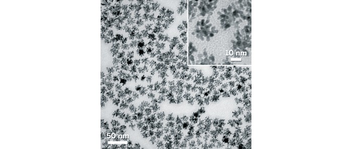 Platinum-Catalysts-Branch