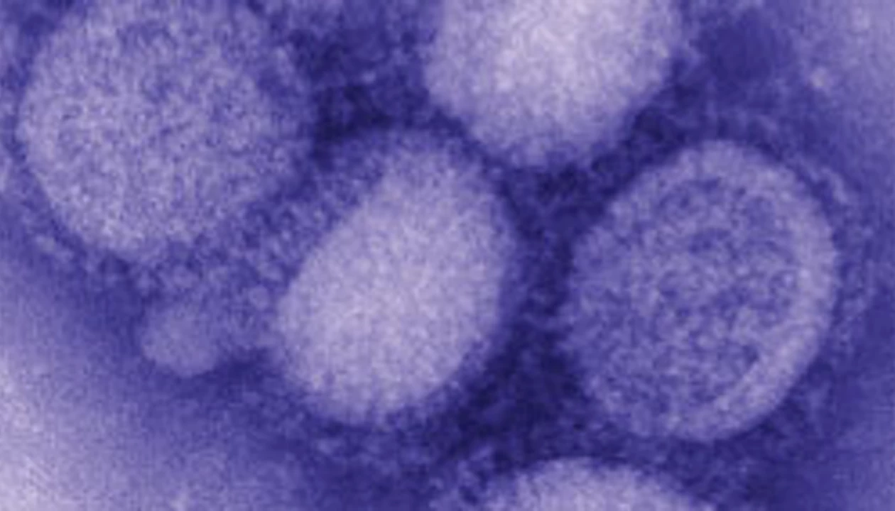U.S. Steps Up H1N1 Readiness