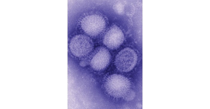 US-Steps-H1N1-Readiness