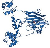 Study makes iron(VI) structure crystal clear