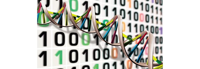 Next-Generation-Risk-Assessment