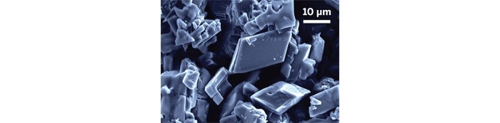 Microencapsulation-Aids-Insecticides