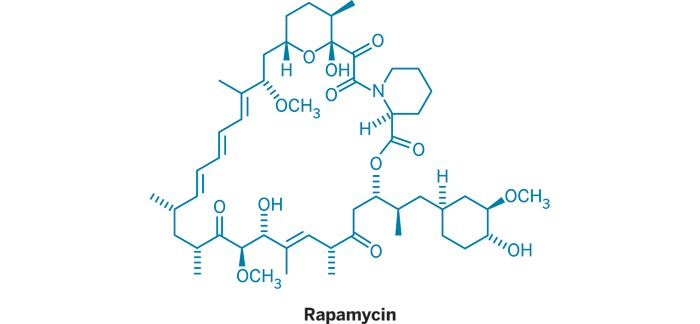 Rapamycin-Life-Extension