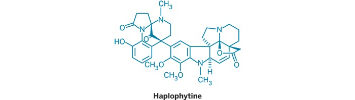 Finally-Haplophytine