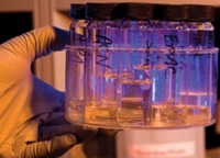 Buccal-Spray-Insulin