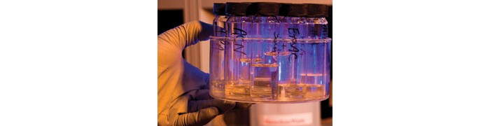 Bristol-Myers-Squibb-Buy-Medarex