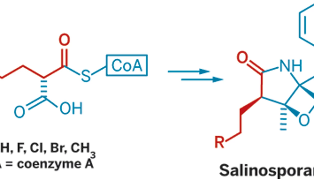 Better Biosynthesis Building Blocks