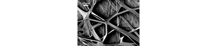 Collagen-Nests-Cancer-Cell-Tests