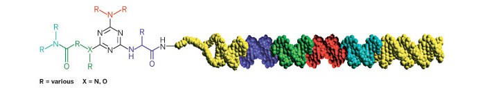 DNA-Bar-Codes-Libraries