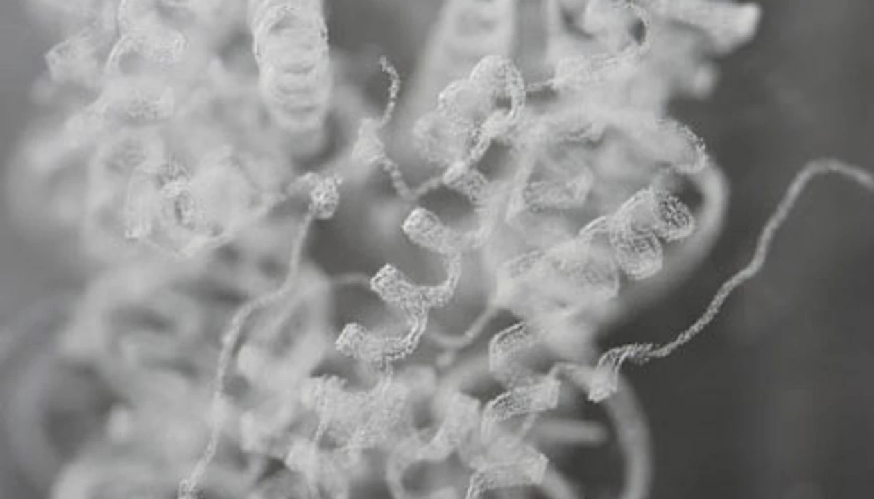 Depicting Matter