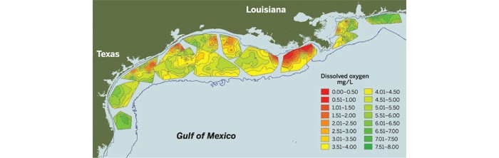 Algae-Dead-Zones