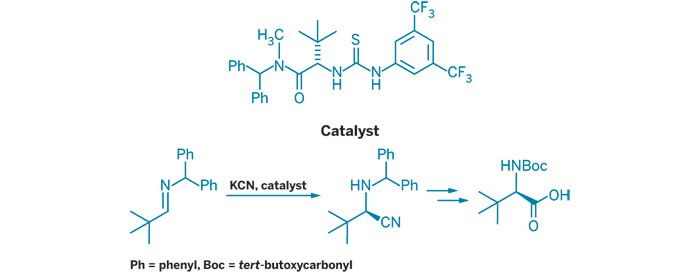 New-Helper-Bulky-Amino-Acids