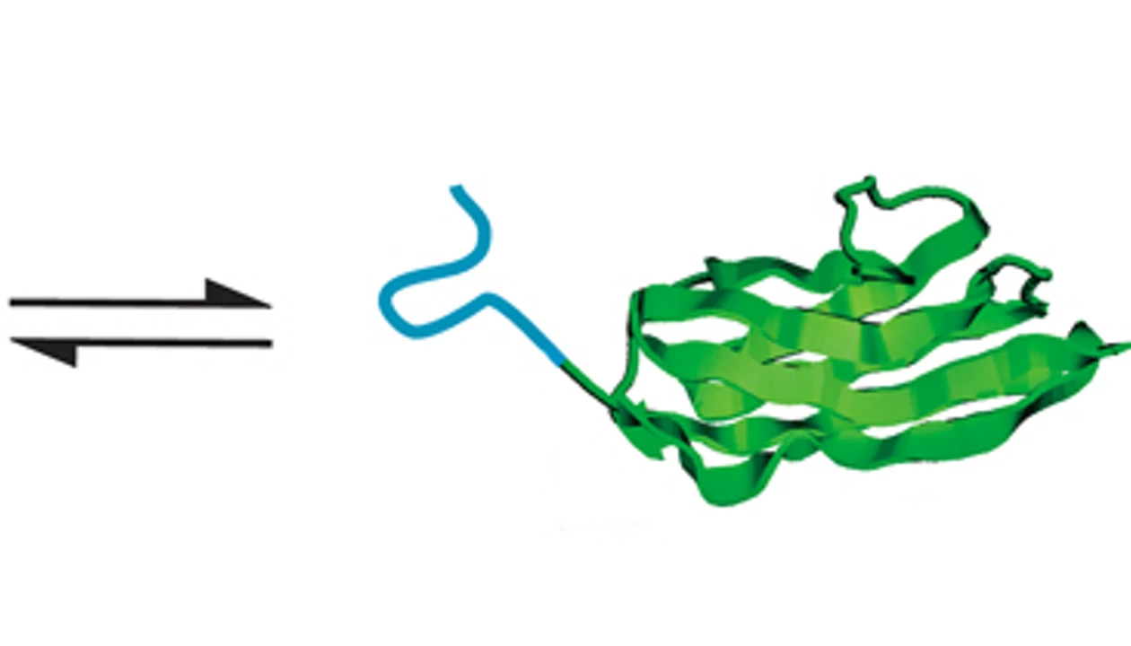 Tools For Protein Folding