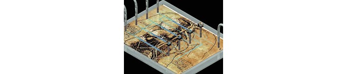 Mimicking-Multiple-Organs-Chip