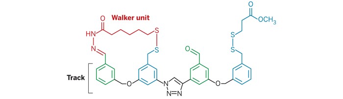 Tiny-Molecular-Track-Walker