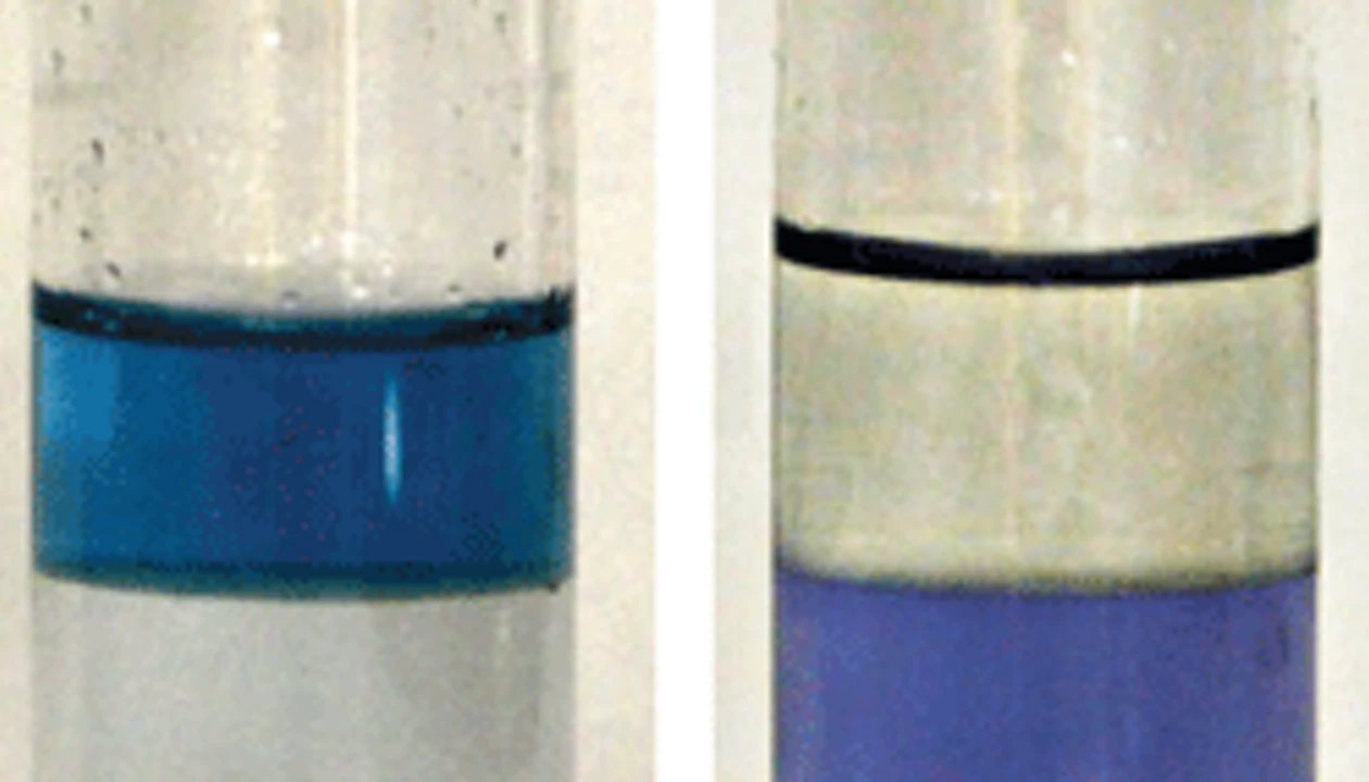Phase Switching With Productive Tags