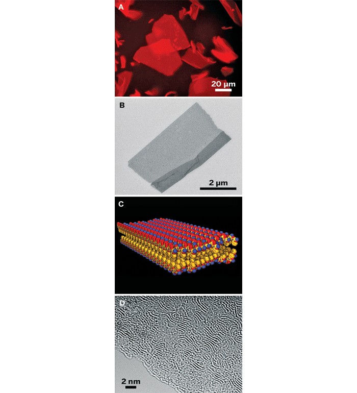 Bioinspired-Material-Debuts