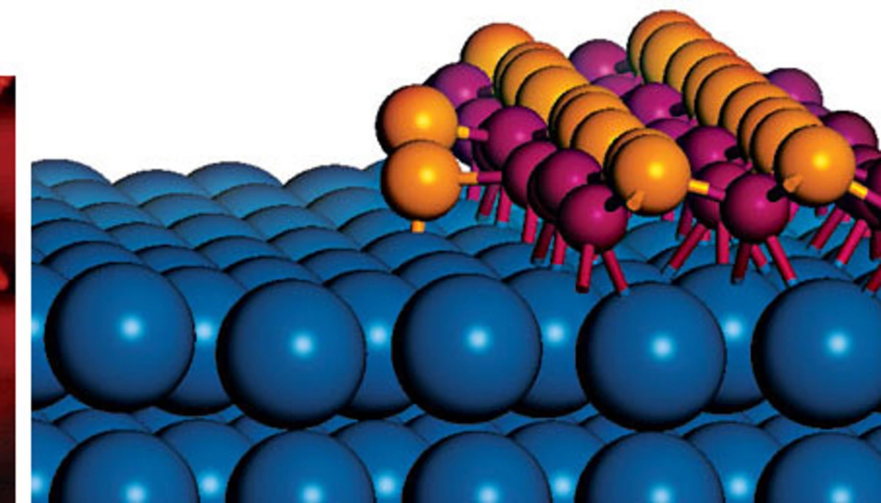 Selective CO Oxidation