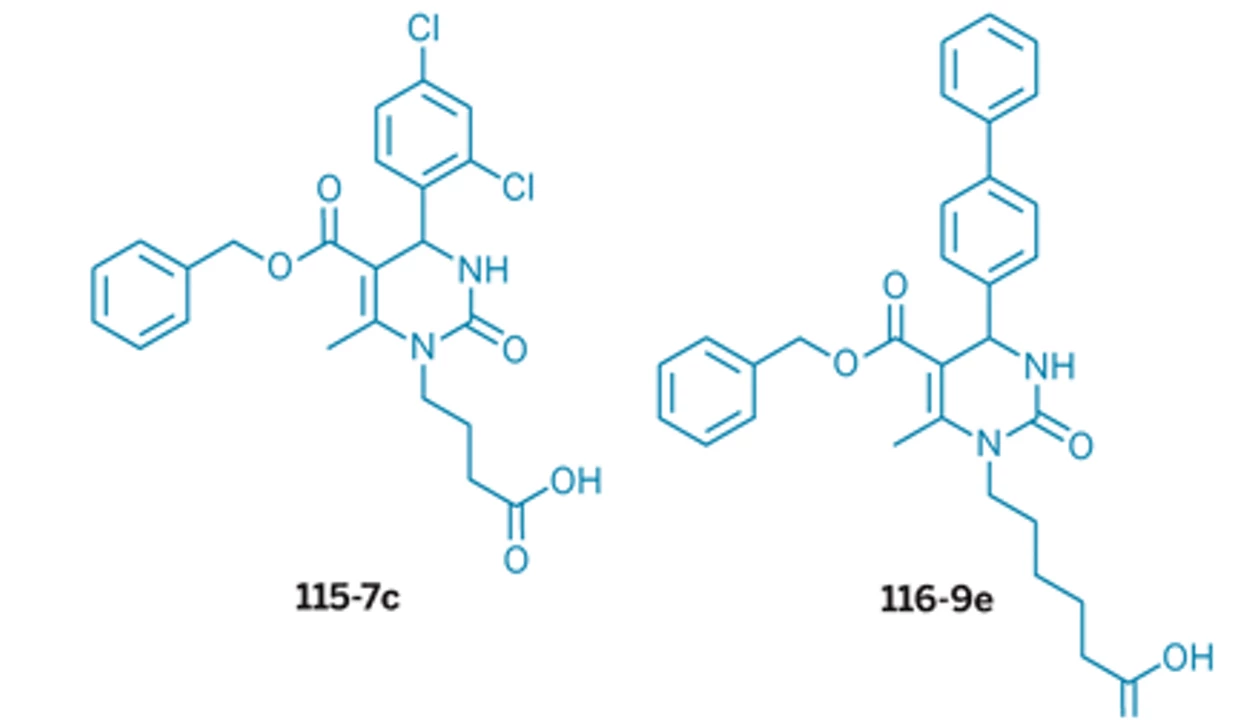 Similar Molecules, Opposite Effects
