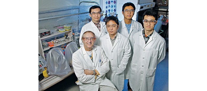 Enzymes-Metal-Cluster-Nailed