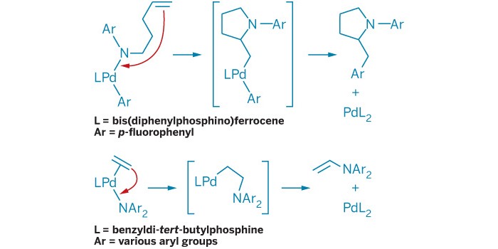 Palladium-Mediated-Insertive-Behavior