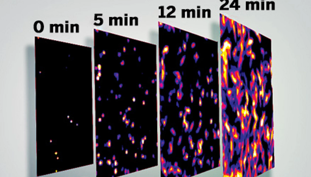 Ultrasensitive Crystal Probe