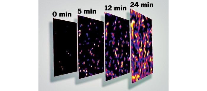 Ultrasensitive-Crystal-Probe