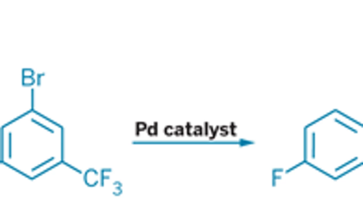 Mechanism Of Suzuki-Miyaura Coupling Revealed