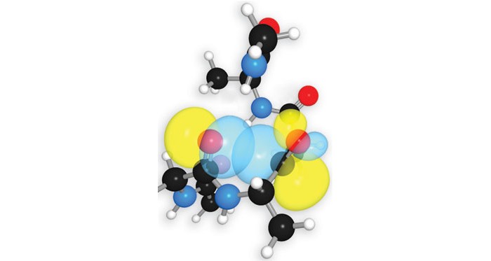 Another-Force-Stabilize-Proteins