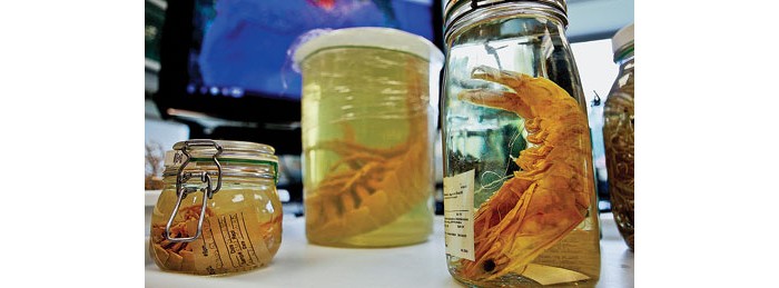 Science-Education-Smithsonian