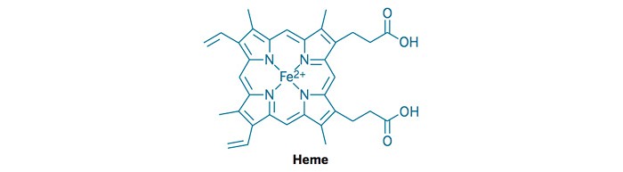 Free-Heme-Promotes-Severe-Sepsis