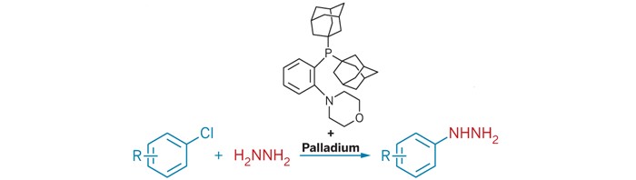 Coupling-Hydrazine