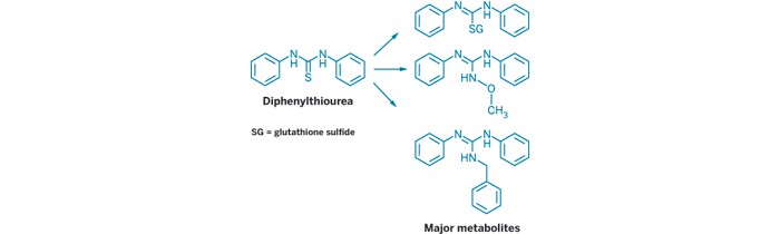 Rubber-Additive-Forms-Potent-Skin