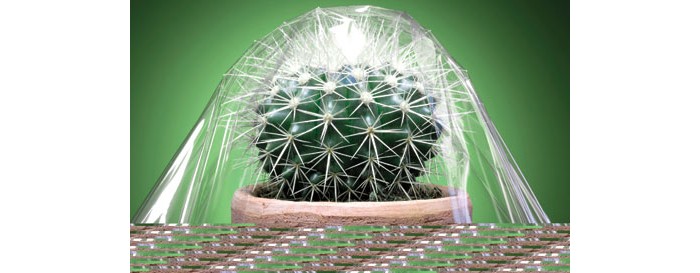 BASF-Ineos-Join-Styrenics