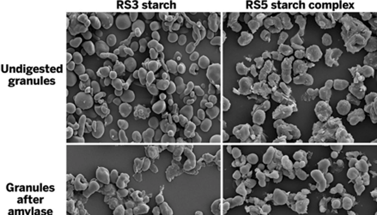 New Fibers For Foods