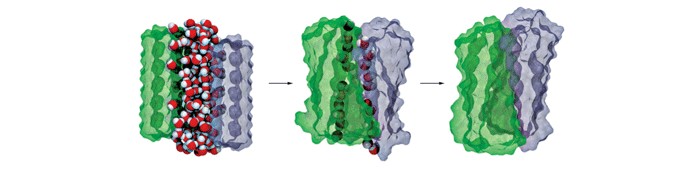 Water-Factors-Amyloid-Prion-Aggregation