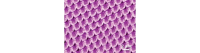 Patterned-Polymer-Nanowire-Arrays Patterned-Polymer-Nanowire-Arrays