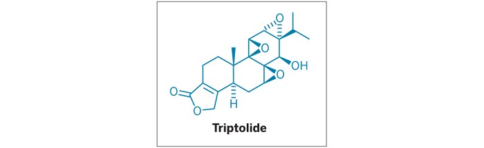 Target-Traditional-Chinese-Medicine-Triptolide
