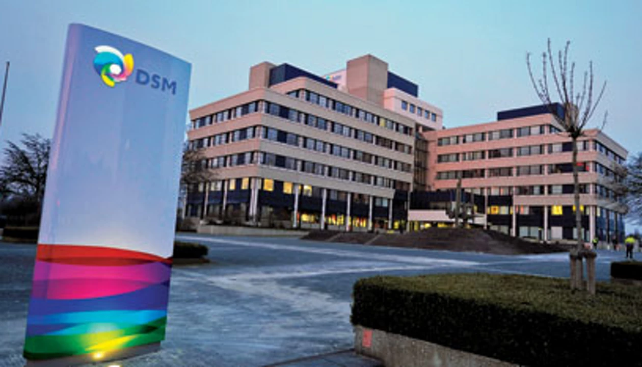 Transformed DSM Targets Growth