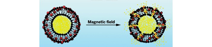 Magnetic-Field-Triggers-Liposome-Release