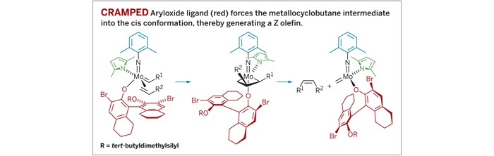 Rigging-Cross-Metathesis
