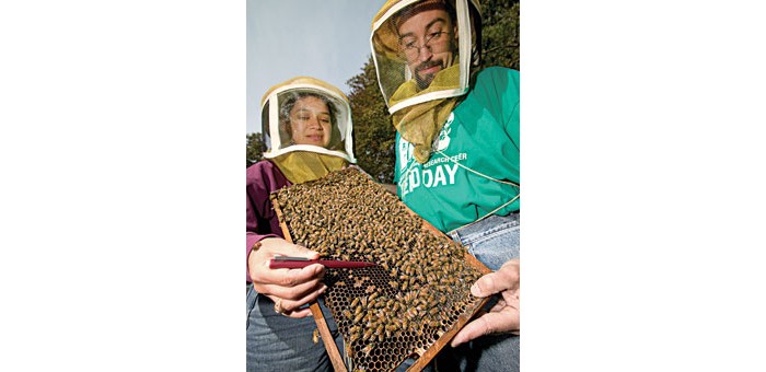 Hope-Bees