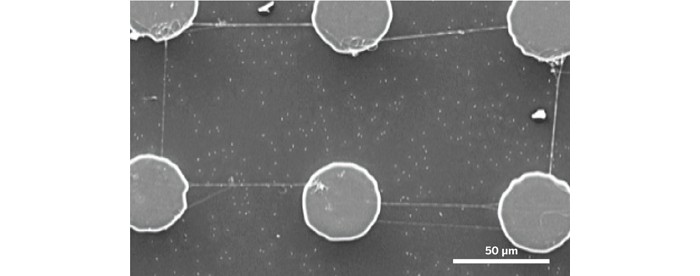 Carbon-Based-Microdevices