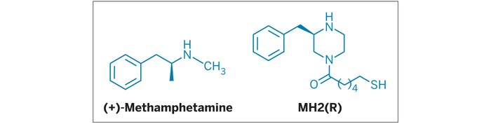 Meth-Vaccine-Hunt-Revamped