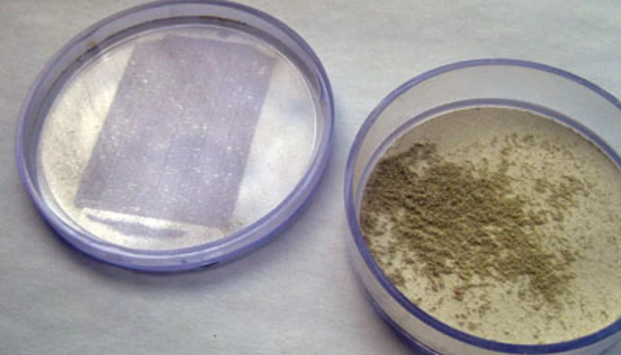 Dust Removes Ozone From Indoor Air