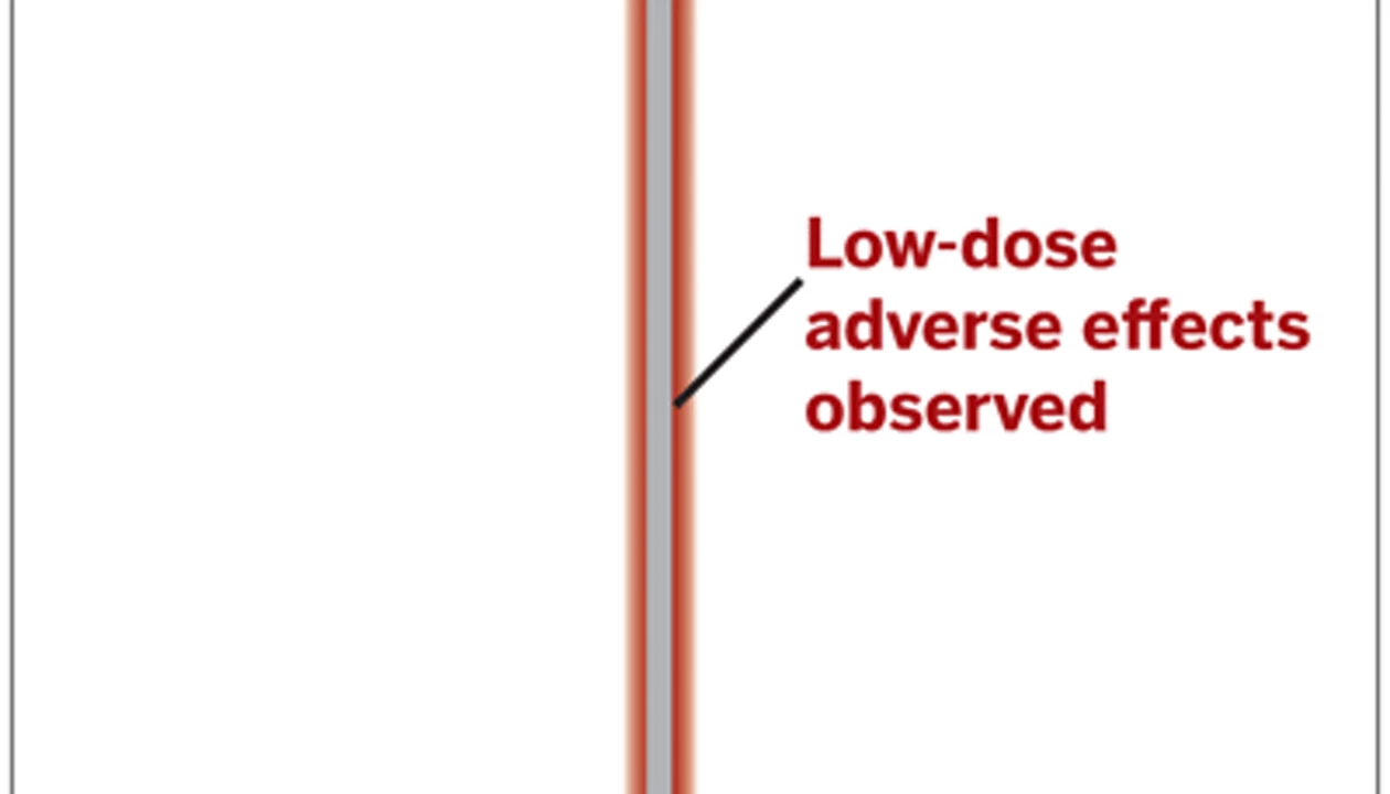 Debating BPA’s Toxicity