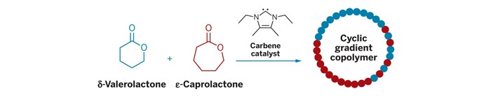 Cyclic-Gradient-COPolymers-Debut