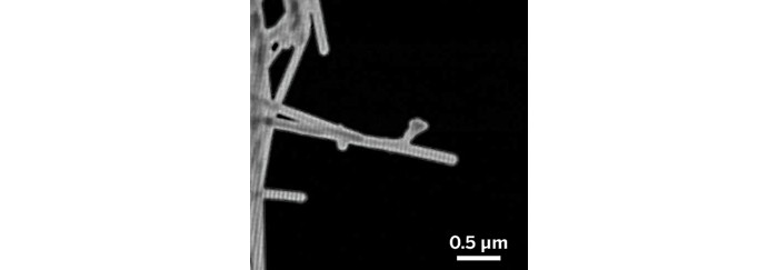 Another-Ultrafast-Microscopy-Method