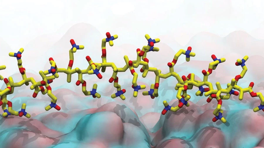 A polymer for needle-free insulin delivery