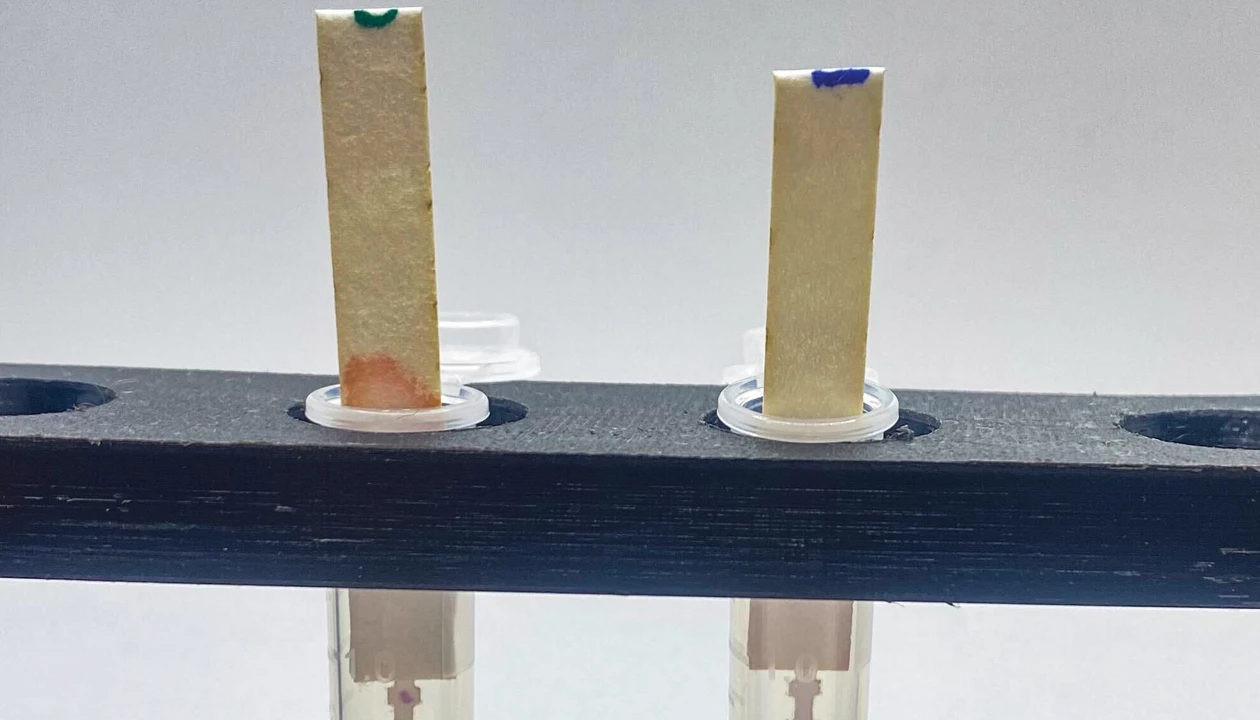 Paper diagnostic tests are usually yes or no. A new test provides more ...